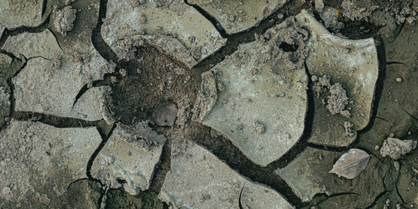 4 Common Causes of Fibromyalgia - I Quit Sugar